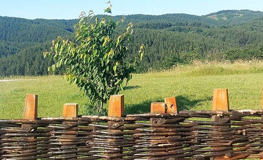 GLAS ZAPADNE SRBIJE - Poslednji dan maja u znaku sunca